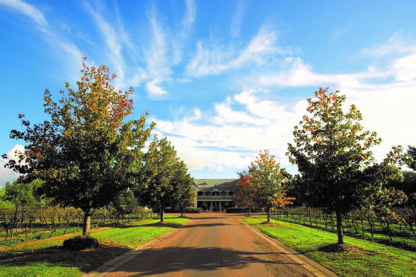 Hunter Valley Wine Tours