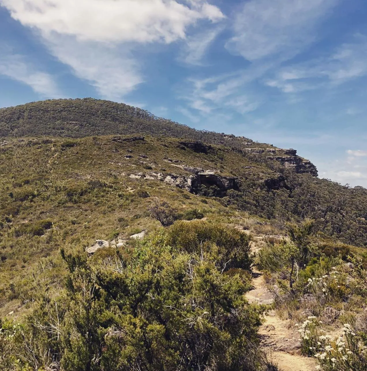 Discover the Lower Grose Valley: A Hidden Gem in the Blue Mountains